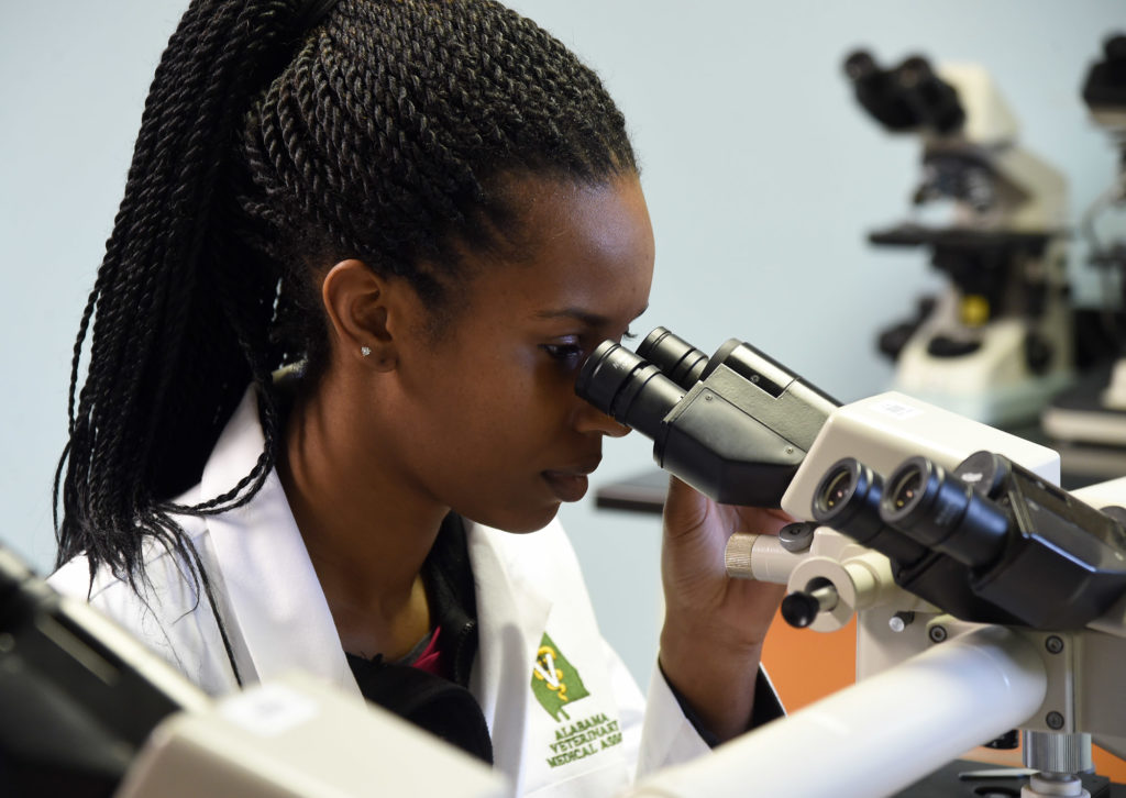 How Tuskegee U. educates 70% of African-American veterinarians in the U ...