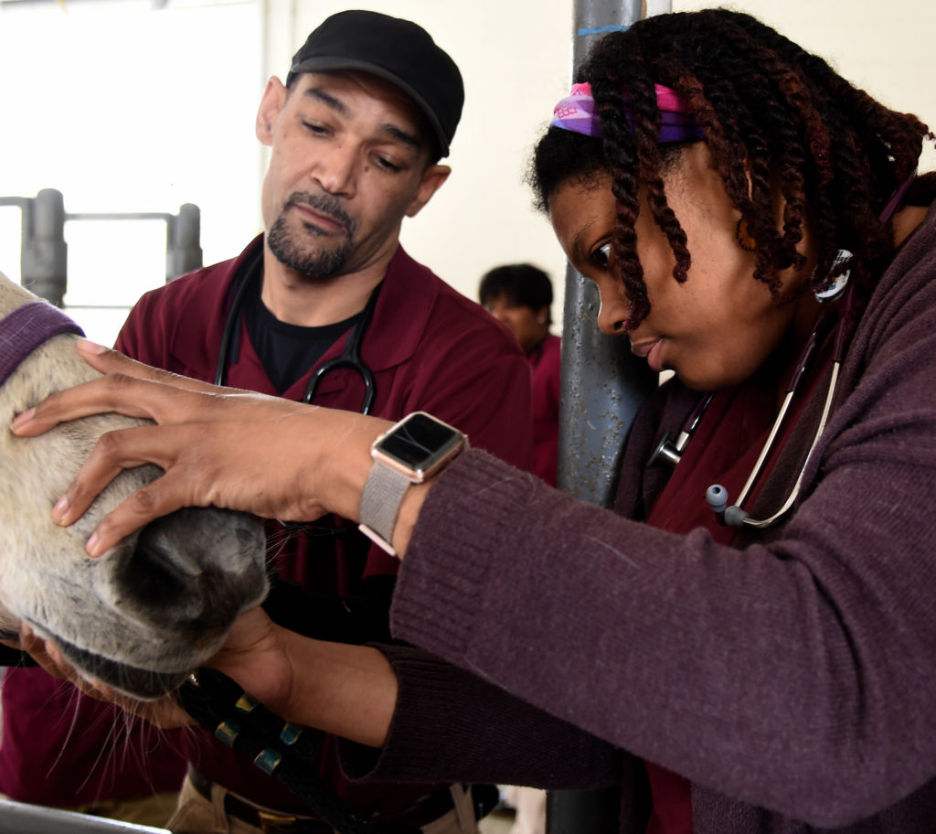 How Tuskegee U. educates 70% of African-American veterinarians in the U ...