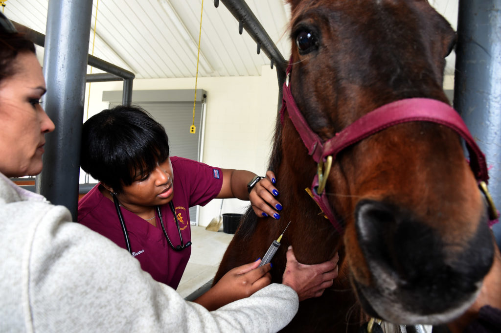 How Tuskegee U. educates 70% of African-American veterinarians in the U ...
