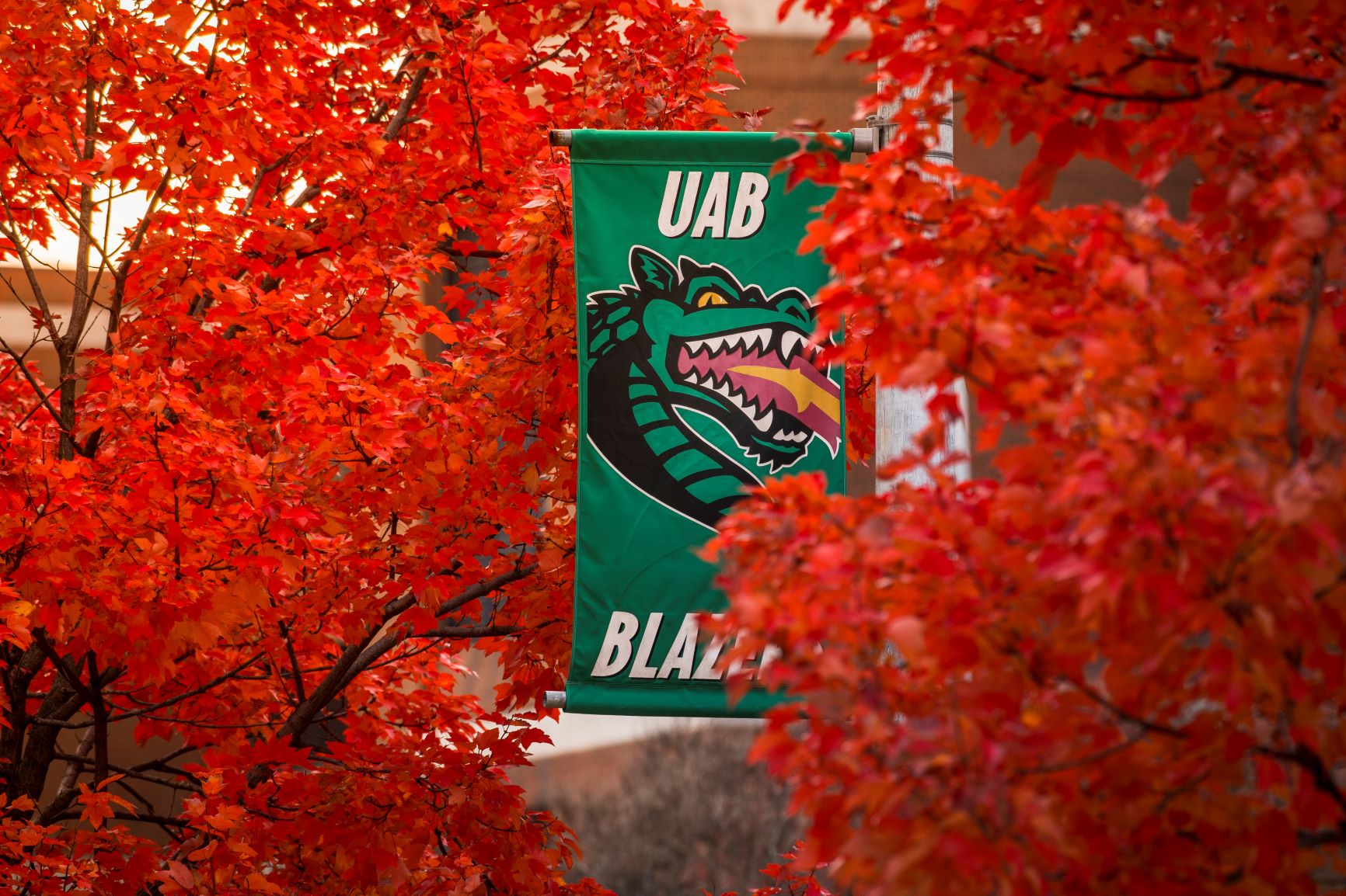 UAB: 50 years of Improving Birmingham, Alabama and the World | The ...