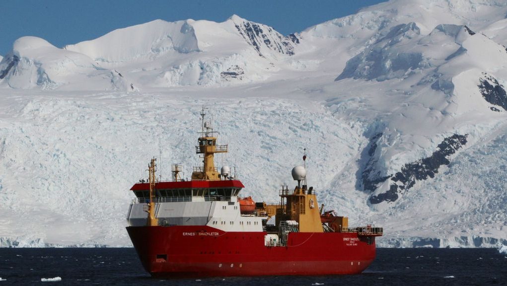 Shellfish Ships: Antarctic Species Under Threat From Crabs And ...